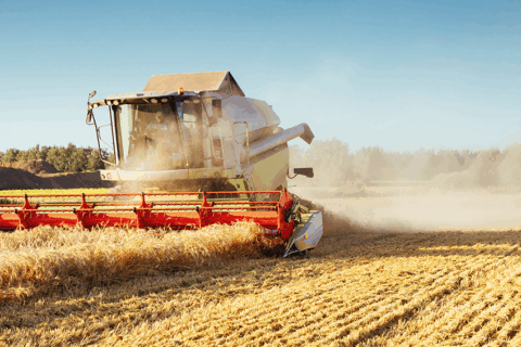 Omnia’s Agriculture Division Boosts Group Revenue to R23bn in FY2025 ...